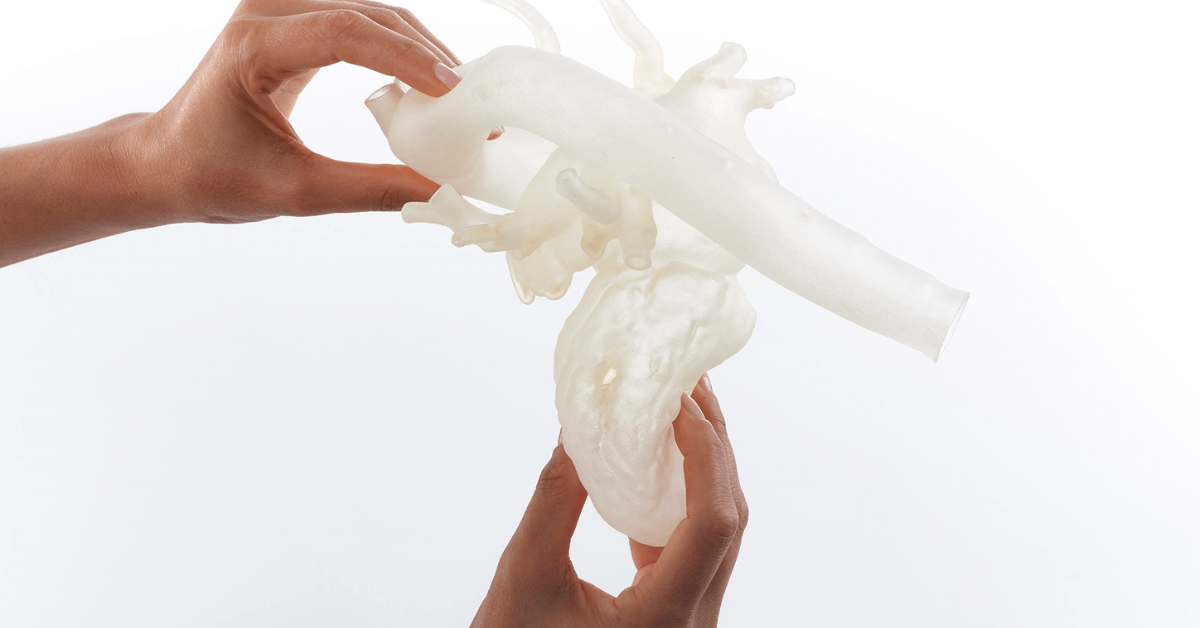 Enhance Medical Training with ADDMAN's Digital Anatomy Printing - ADDMAN